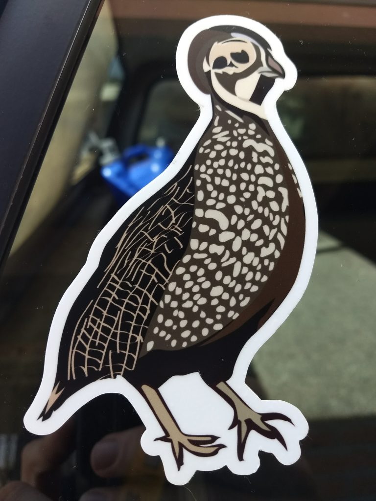 Mearns' Quail Sticker 3" x 5" | Double Aero Guides
