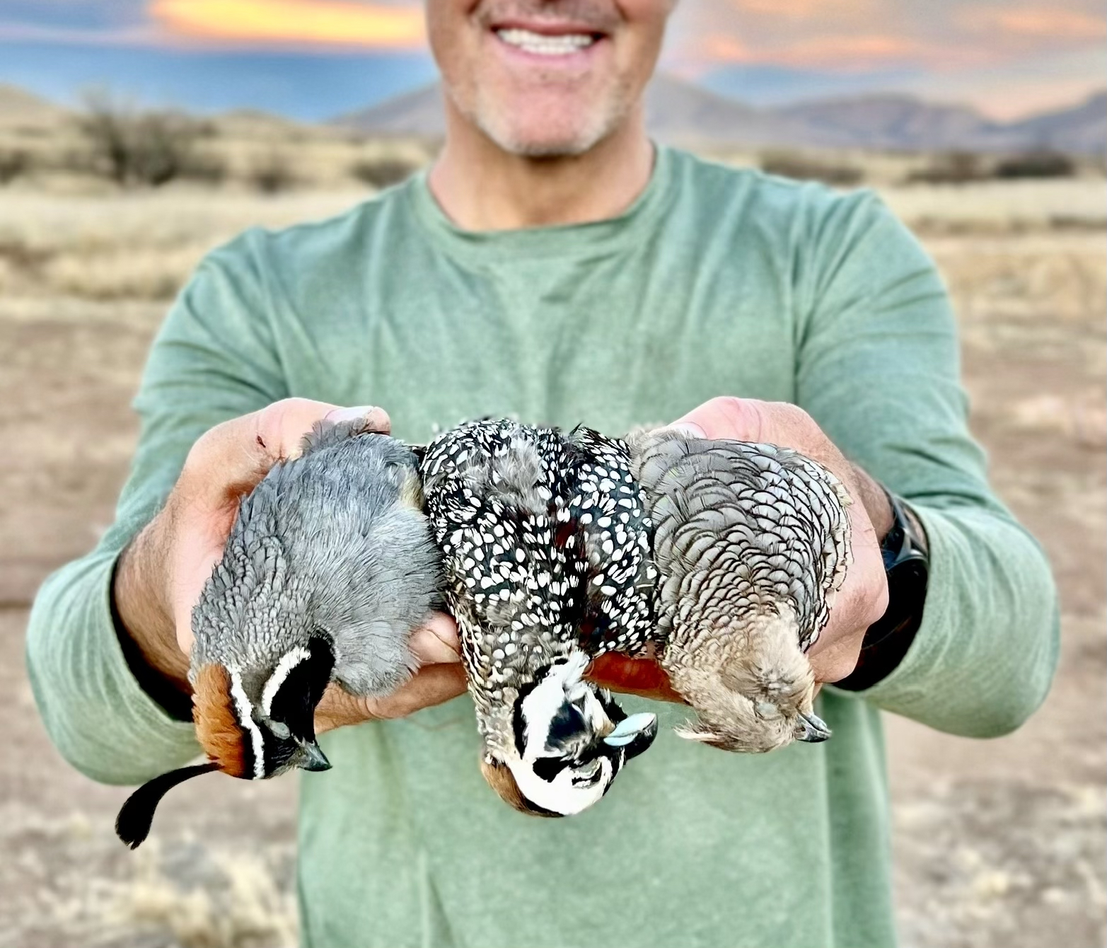 Arizona Guided Quail Hunts