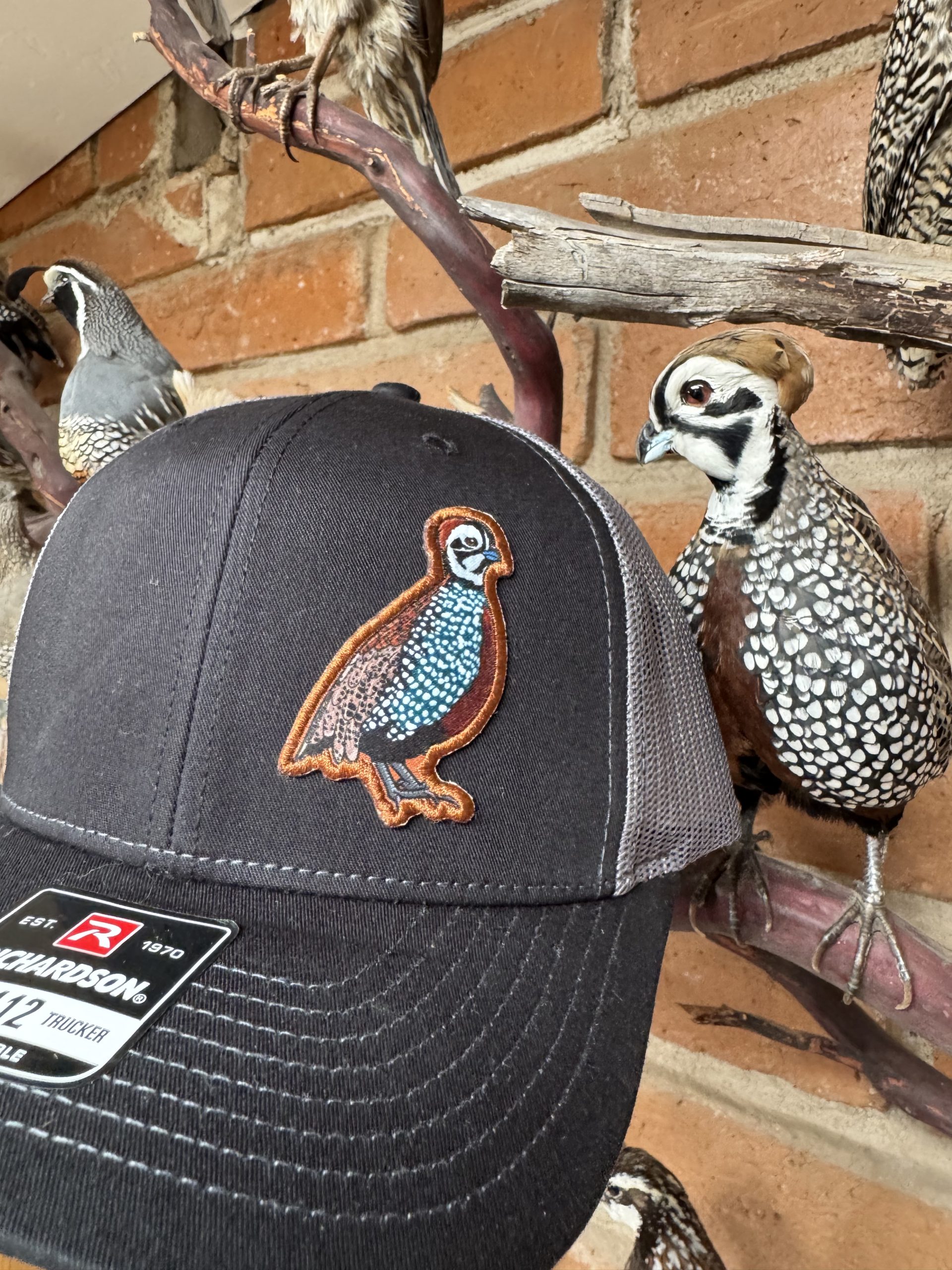 Mearns' Quail Trucker Hat | Black | Double Aero Guides